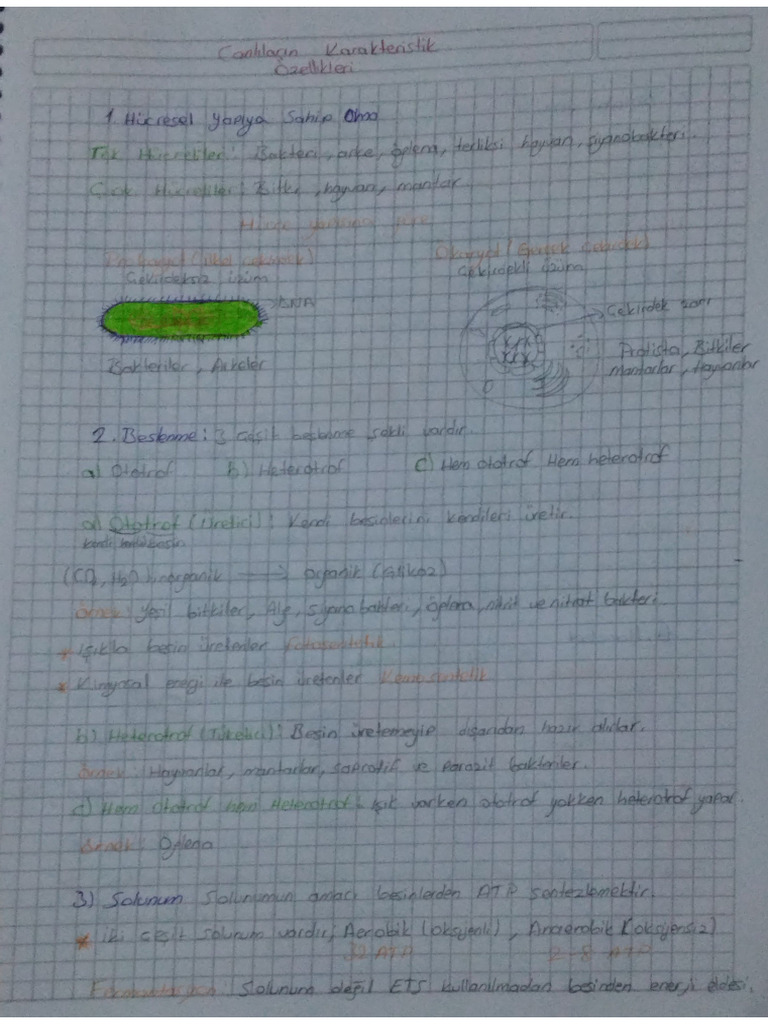 Image To PDF 20250815 20.38.18 | PDF