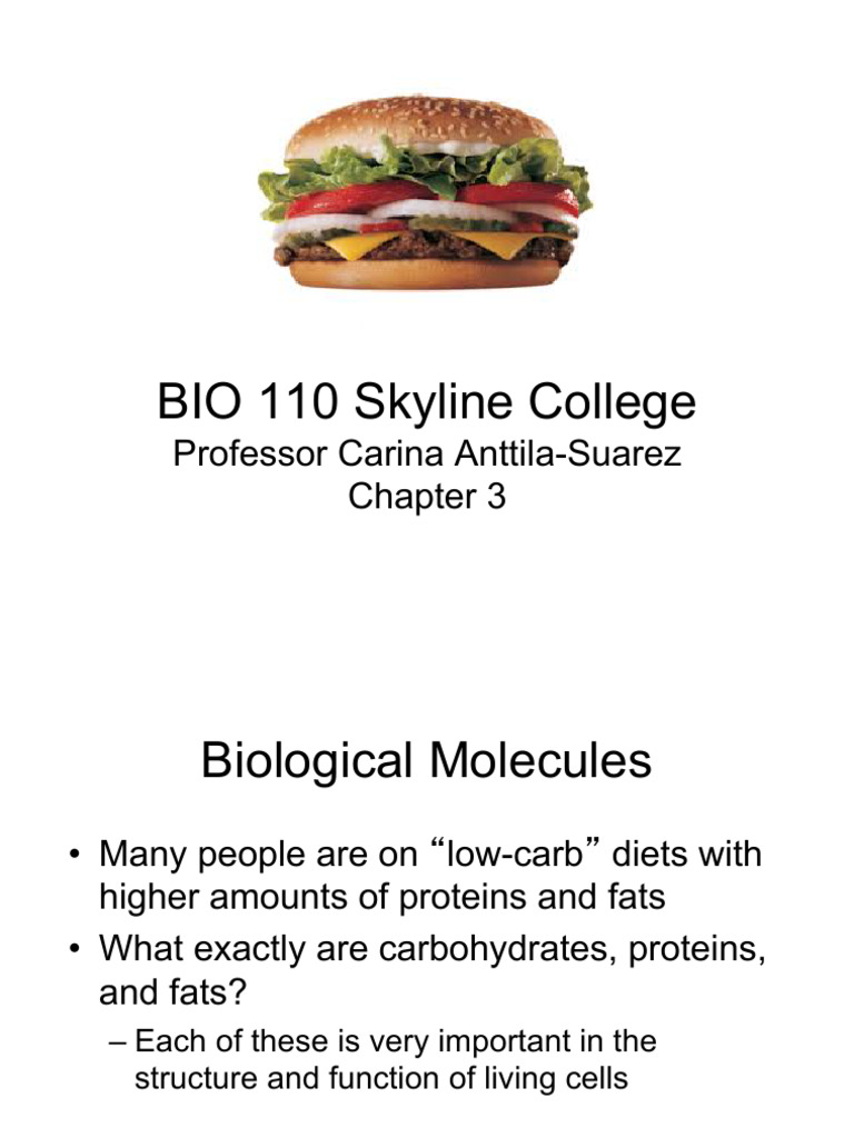 CH 3 Macromolecules Bio110 Lecture Slides | PDF | Carbohydrates | Dna