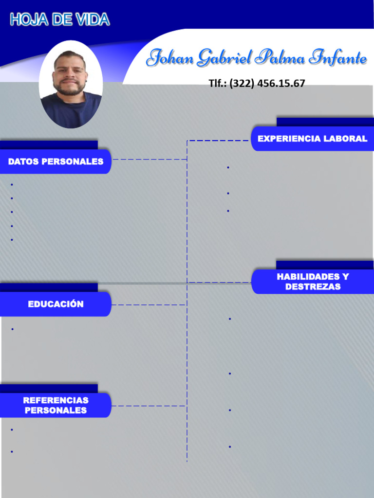 Johan Palma Hoja de Vida | PDF