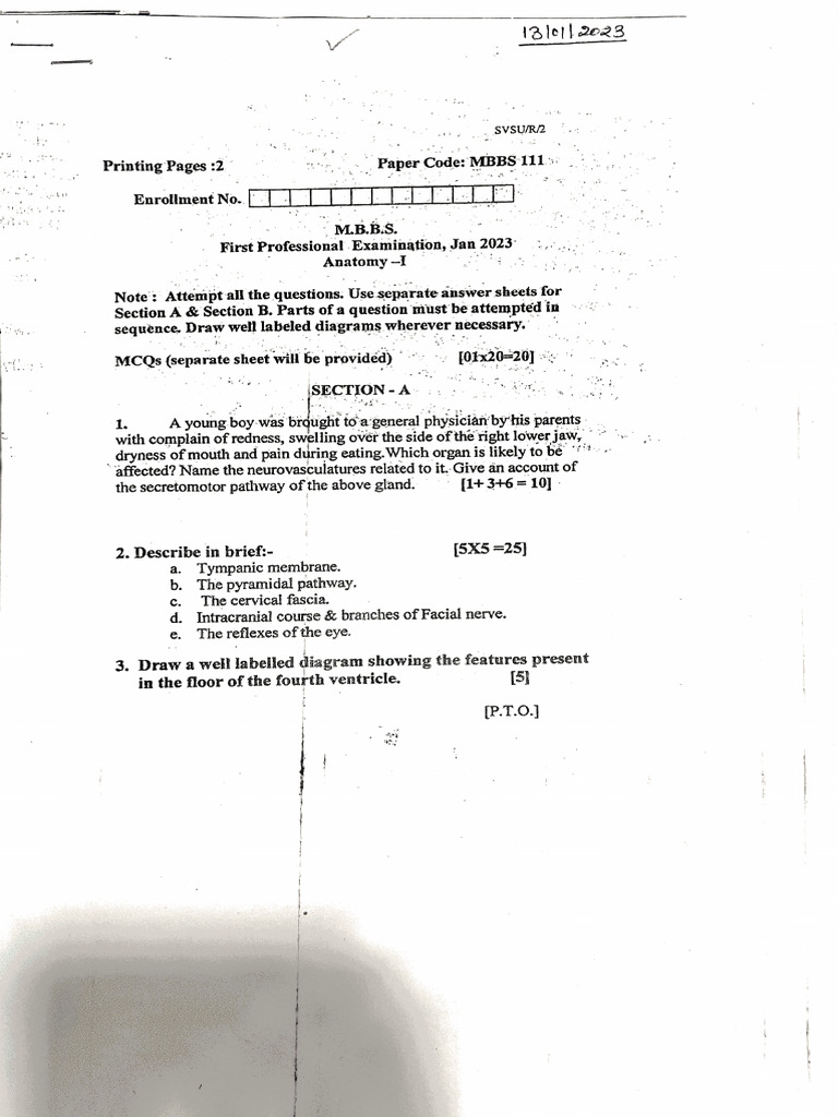 SMC Anatomy Question Papers-2023-02 | PDF