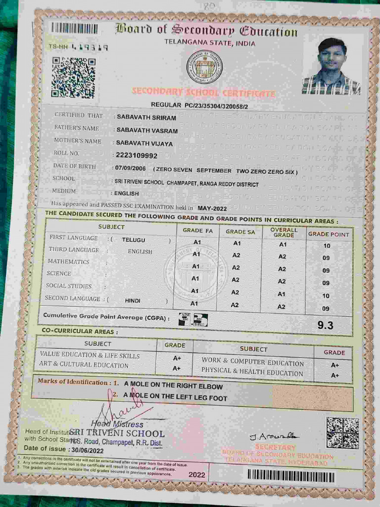 Board Certificate | PDF