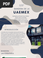 Infográfia Símbolos UAEMEX | PDF | Libros para adolescentes