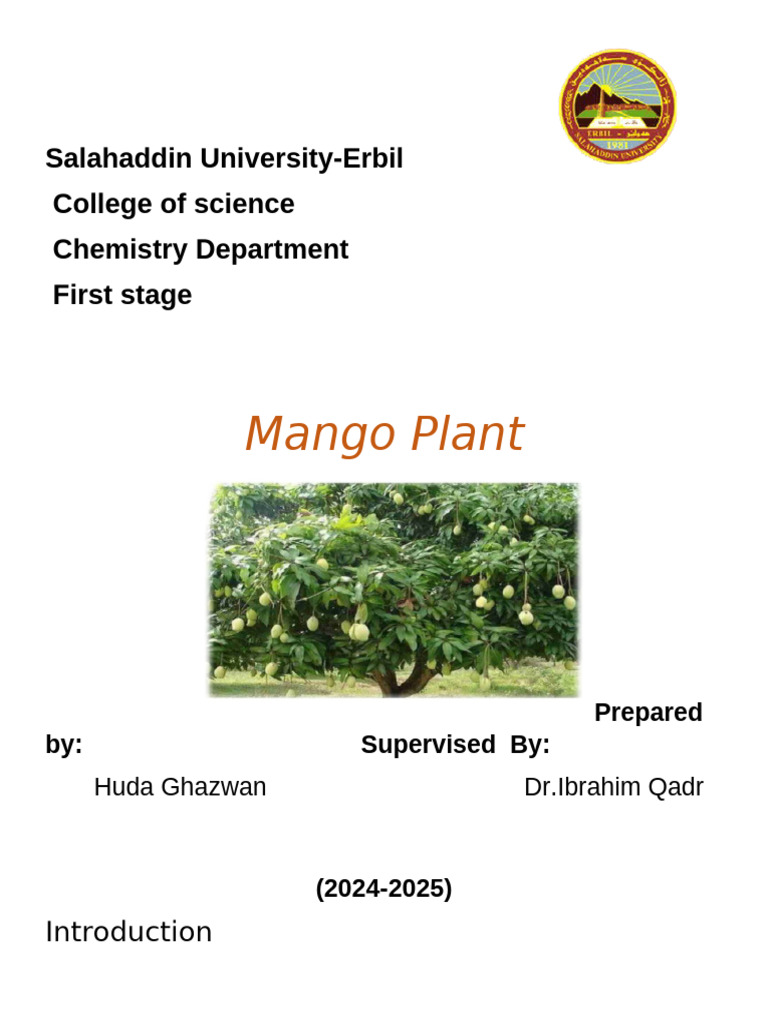 Mango Hud | PDF | Mango | Fruit