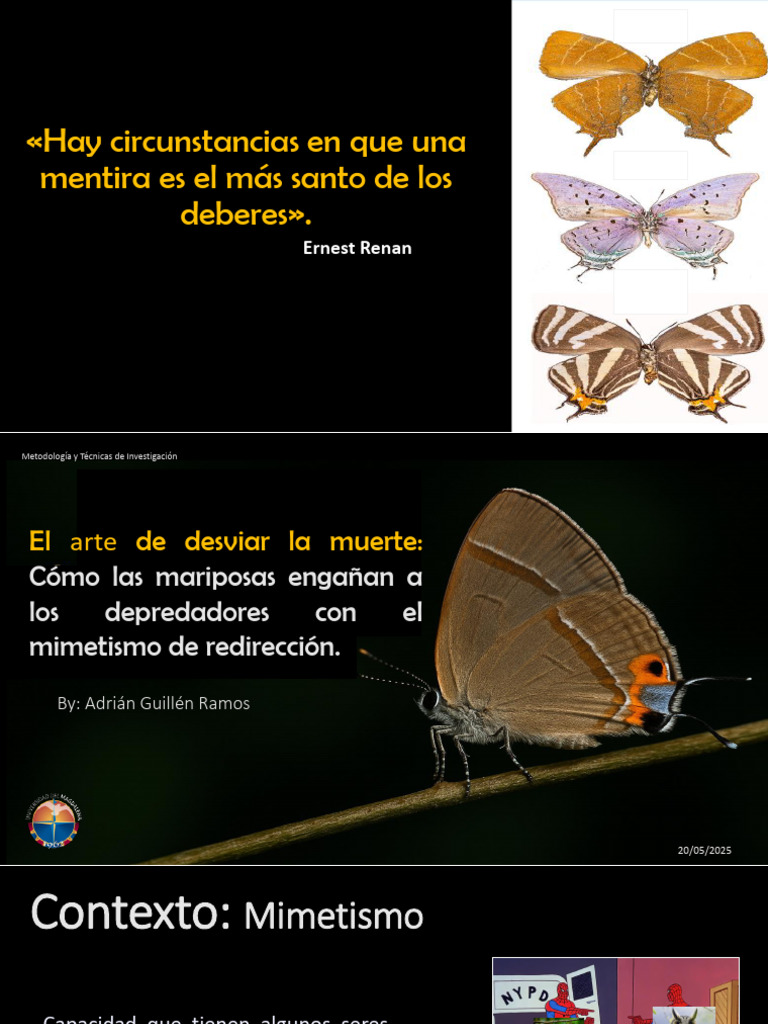 Mimetismo_de_redireccion_pptx_adrian | PDF | Mimetismo | Muerte animal