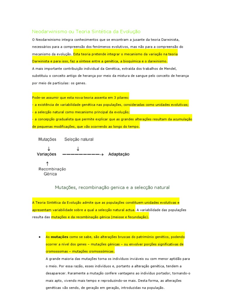 Neodarwinismo ou Teoria Sintética da Evolução | Evolução | Seleção Natural