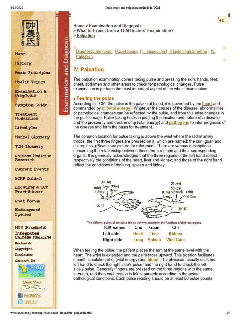 TCM Pulse Diagnosis Techniques | PDF | Traditional Chinese Medicine | Pulse