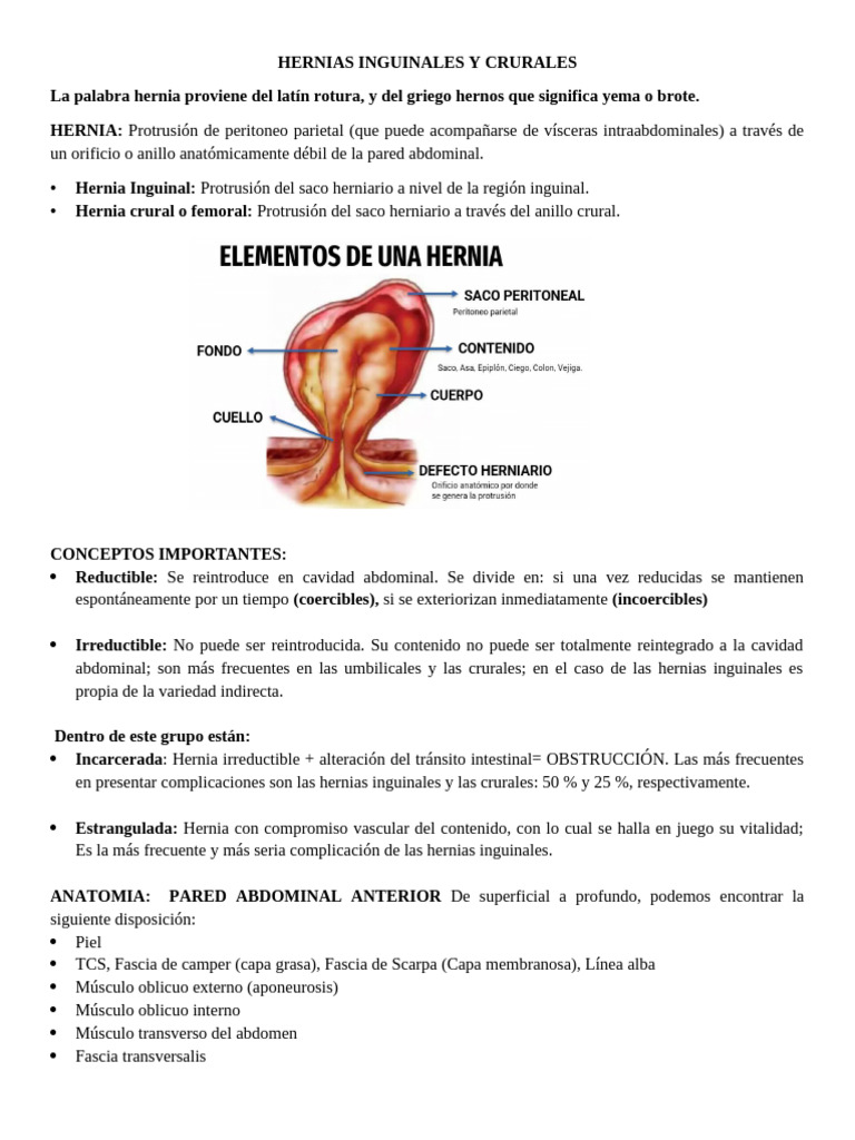 Hernias Inguinales y Crurales: Guía Completa | PDF | Abdomen ...