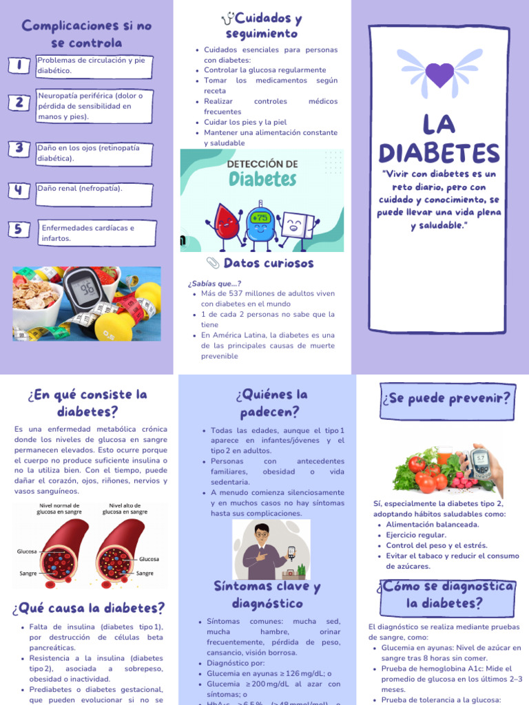Triptico La Diabetes 20250721 115806 0000 Pdf Diabetes