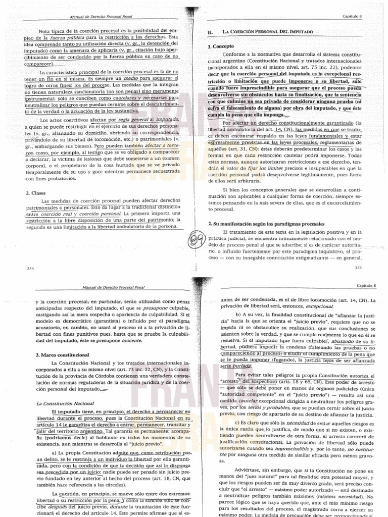 Cafferata Nores - Manual de Derecho Procesal Penal-176-180 | PDF