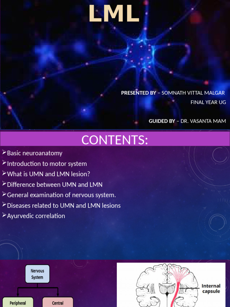 UMN vs LMN Lesions Explained | PDF | Motor Neuron | Spinal Cord
