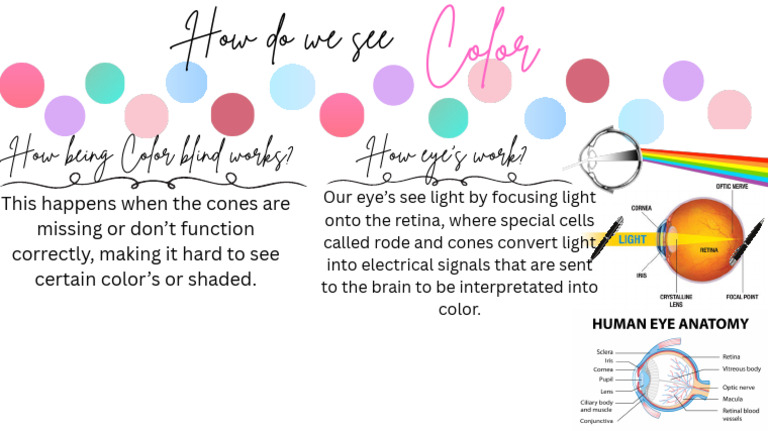 How Do We See | PDF