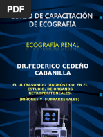 Ecografía renal: anatomía y protocolo | PDF | Riñón | Abdomen
