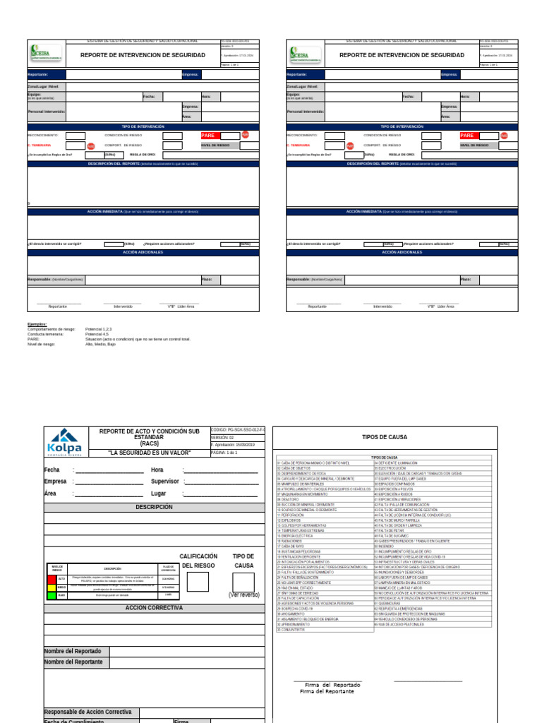 Formato - Reporte de Intervencion de Seguridad - RIS | PDF