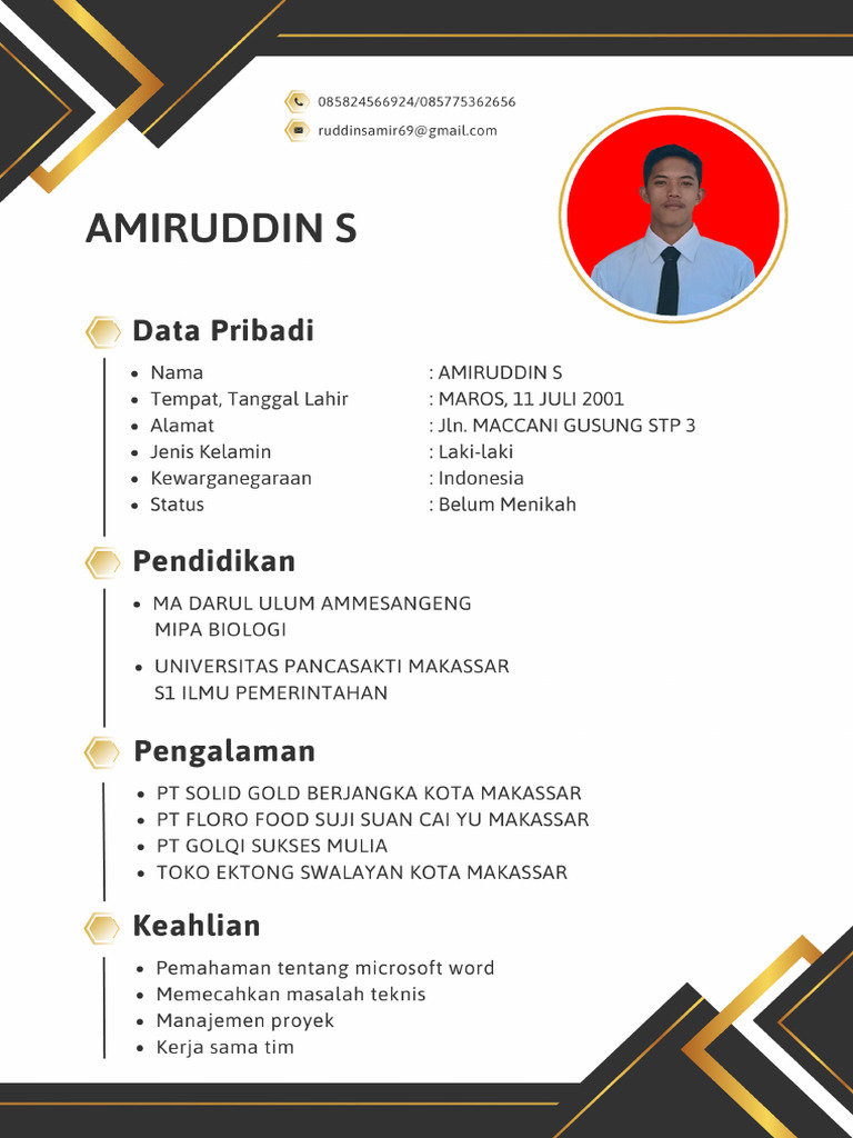 CV Baru Amir | PDF