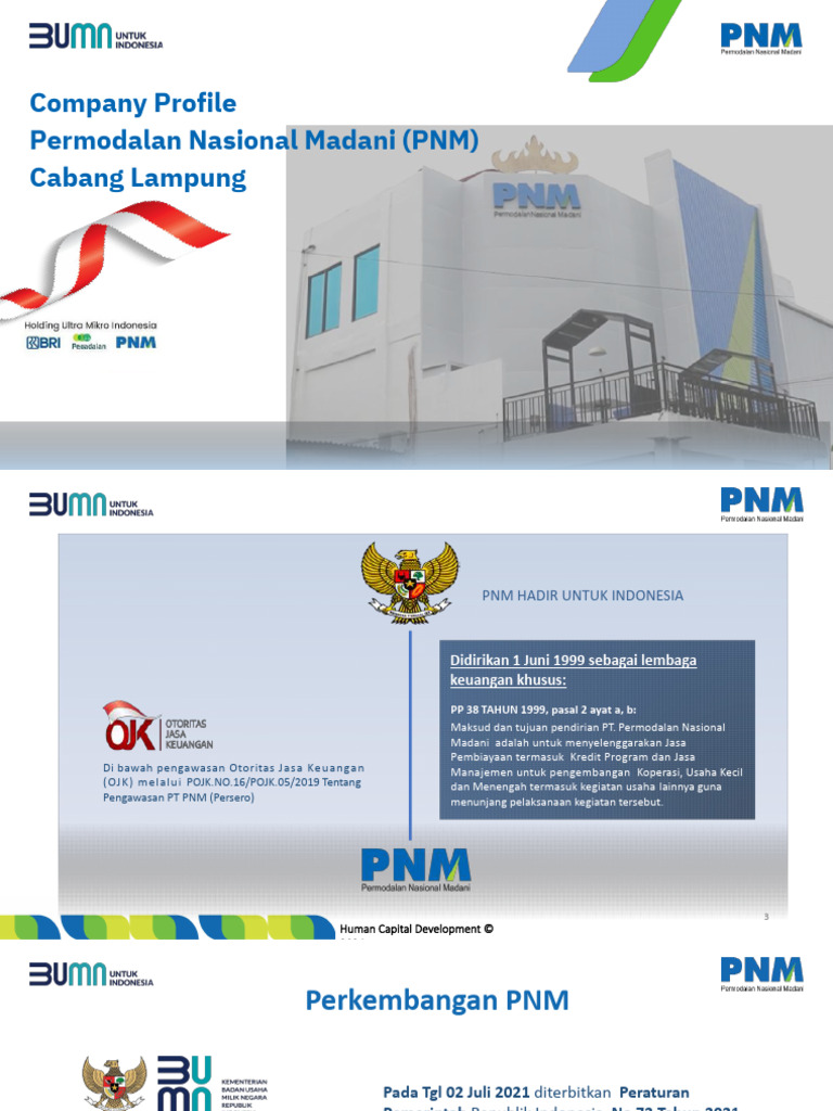 COMPANY PROFILE Pake Ini Aja | PDF