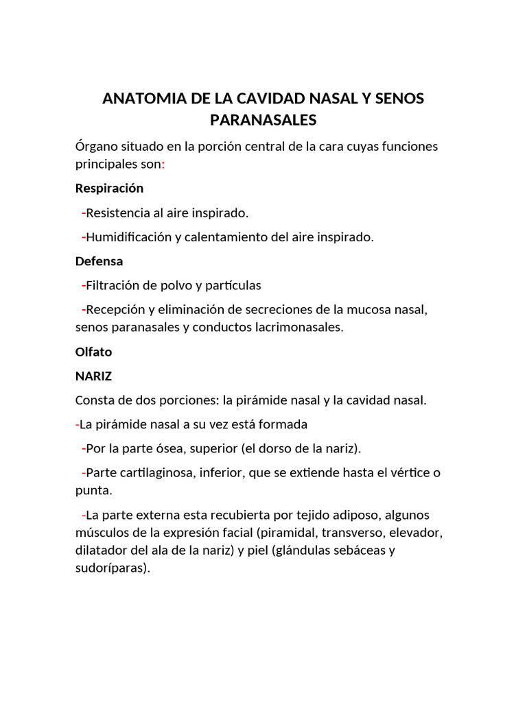 Anatomía de la Cavidad Nasal y Senos | PDF | Nariz humana | Anatomía humana