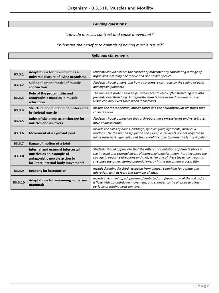 B 3.3 HL Muscles and Motility - Student Notes | PDF | Muscle ...