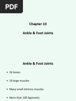 Footand Ankle Anatomy Labeling Lab | PDF | Foot | Ankle