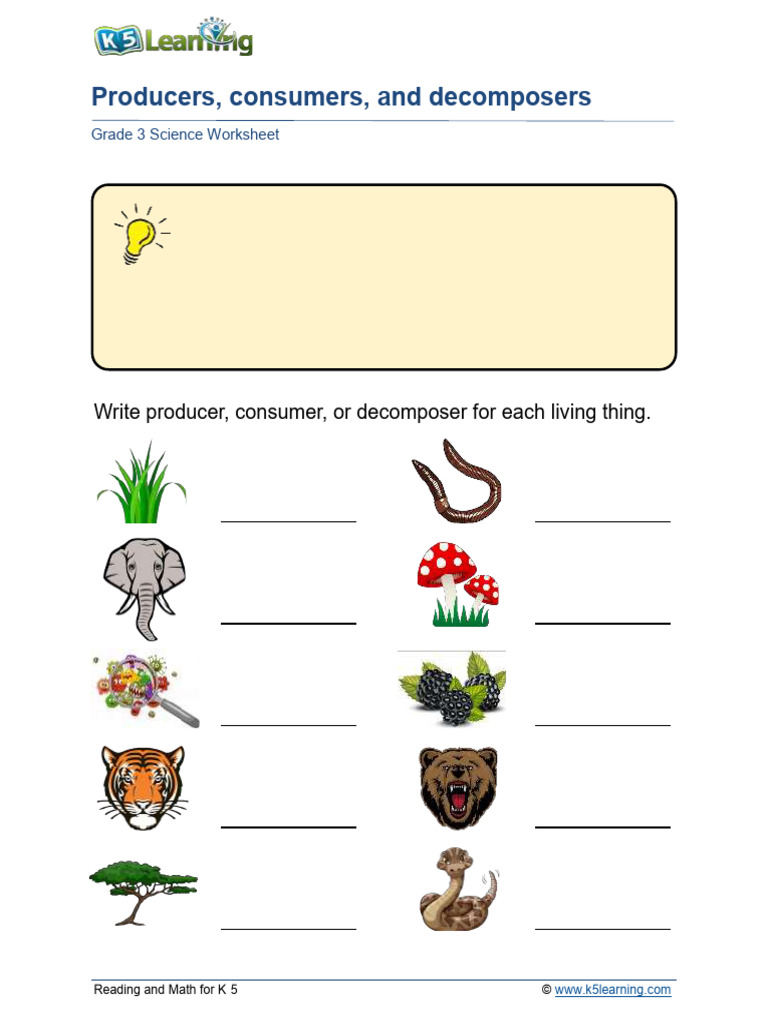 Producers, Consumers, and Decomposers Worksheet | PDF
