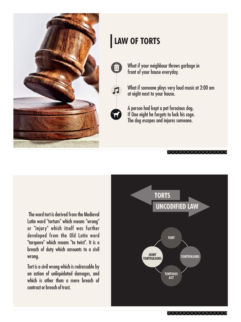 Understanding the Law of Torts | PDF | Tort | Negligence