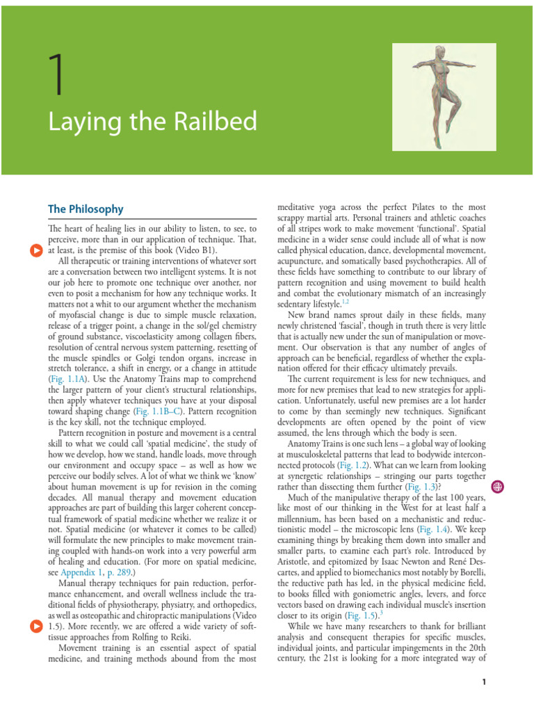 Anatomy Trains Chapter01 | PDF | Tissue (Biology) | Connective Tissue