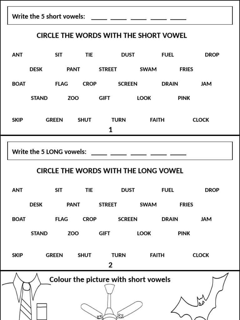 Long and Short Vowels Activities | PDF