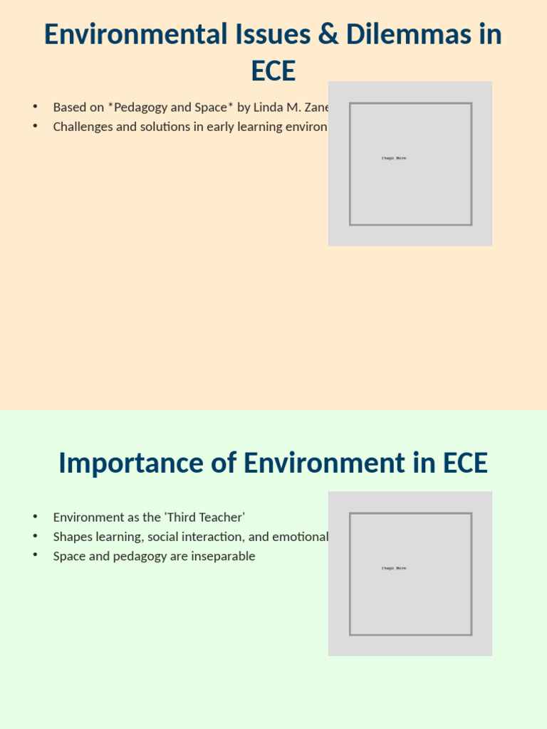 Environmental Issues ECE CanvaReady | PDF