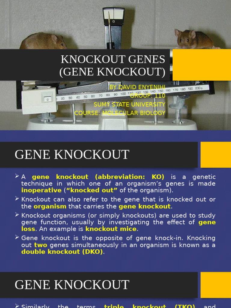 David Enyenihi - Gene Knockout | PDF