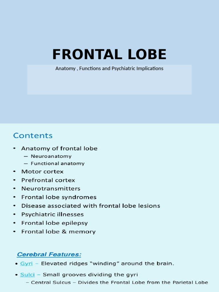 Frontal Lobe: Anatomy and Tests | PDF