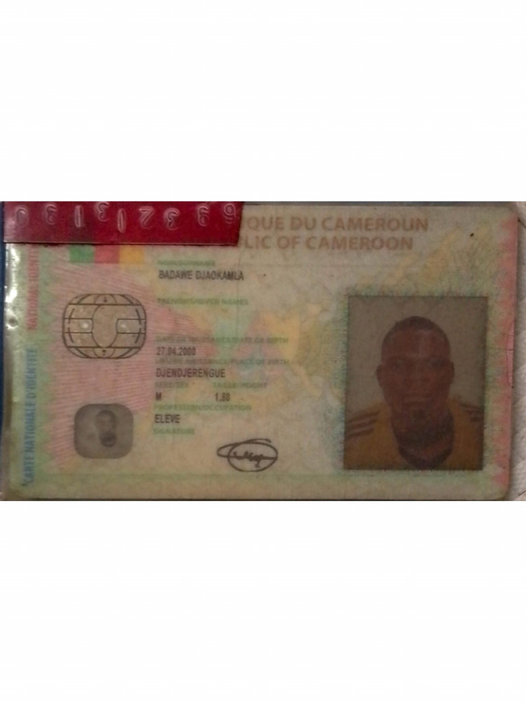 OneRead 20250815 1255 | PDF