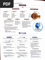 Class 10 Science Pyq CH 10 The Human Eye and The Colourful World | PDF | Rainbow | Eye