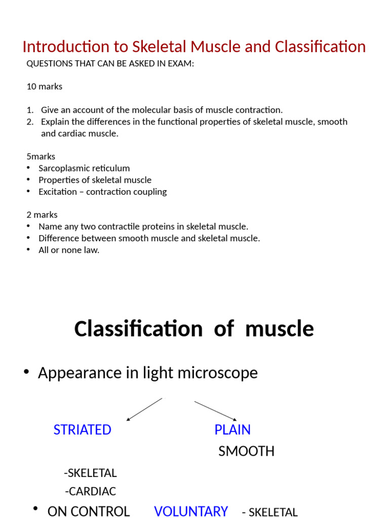 Muscle Types, Properties and Contraction | PDF | Muscle Contraction | Skeletal Muscle