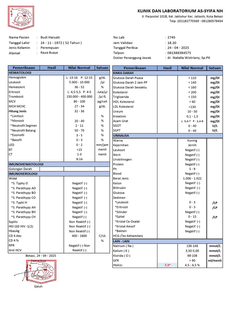 Hasil Lab Budi Haryati | PDF