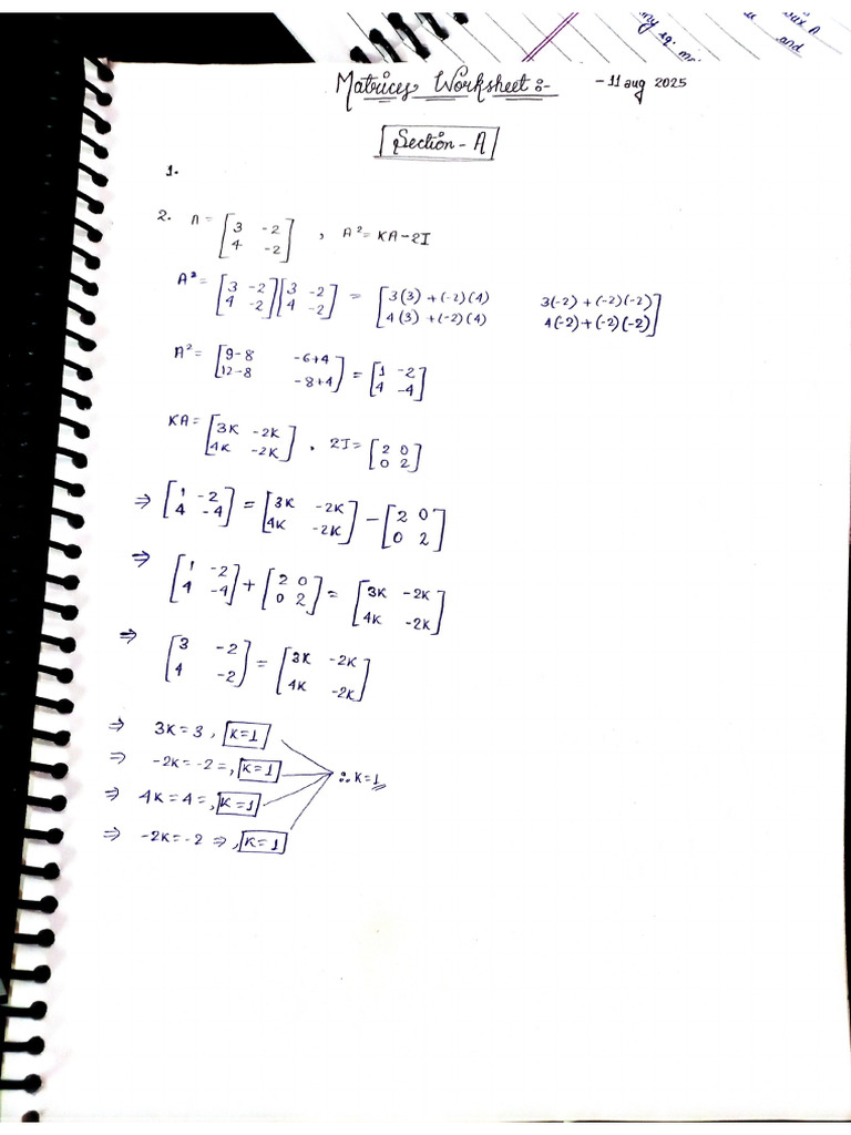 Matrices Worksheet 01 | PDF