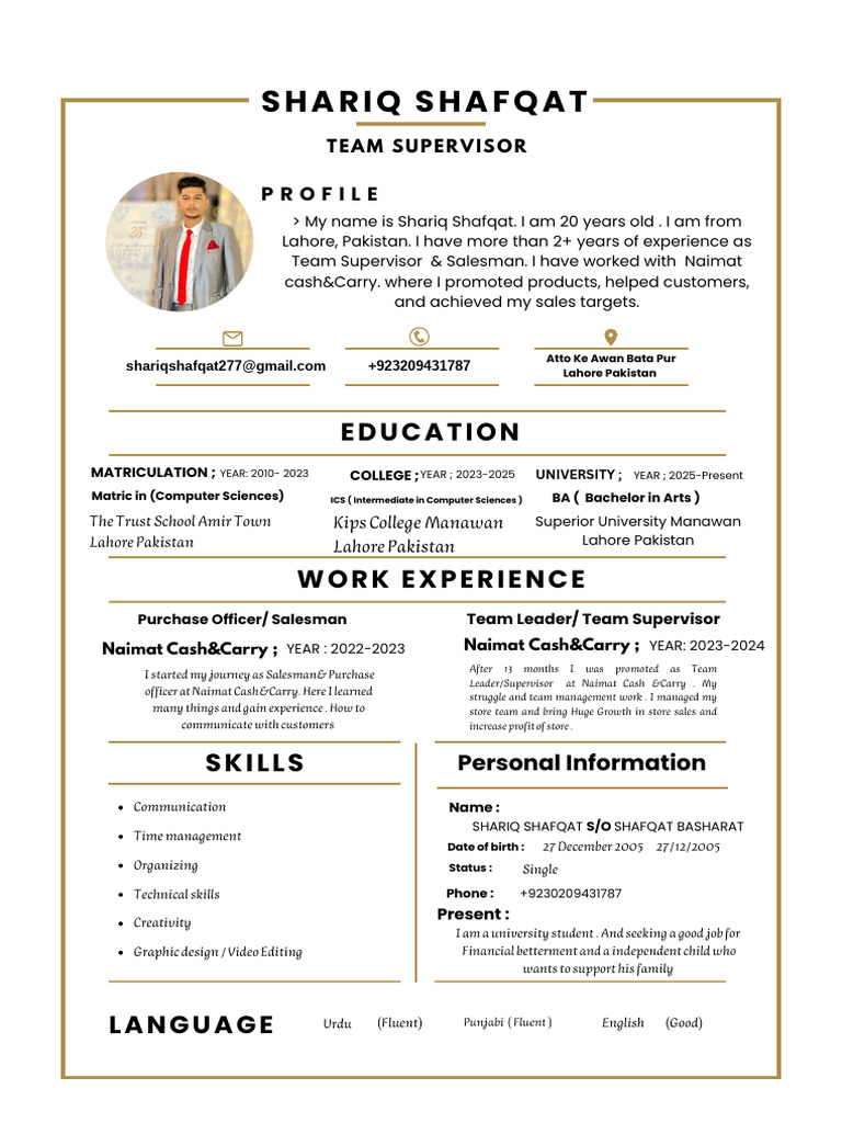 Gray and Golden Resume CV | PDF