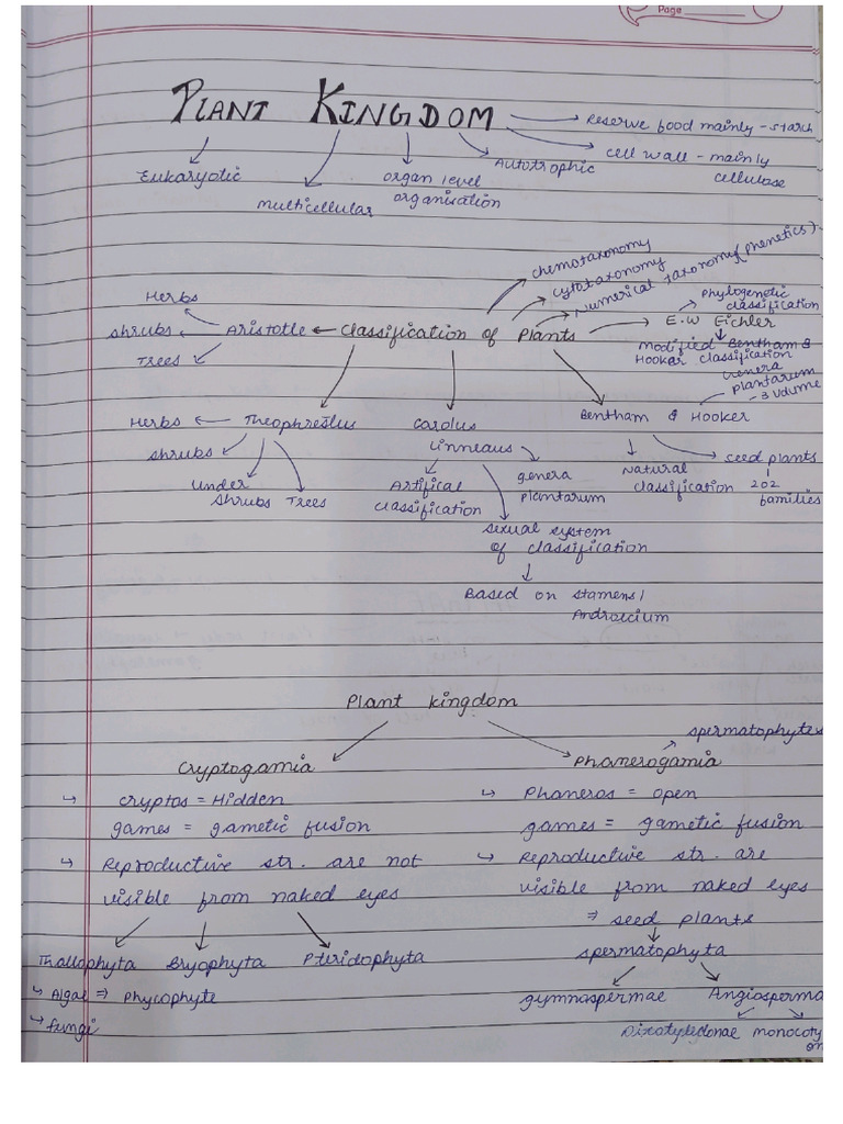Plant Kingdom Class Notes - 43834381 Bd7b 487b Aaac 0fbb08e63bcf | PDF