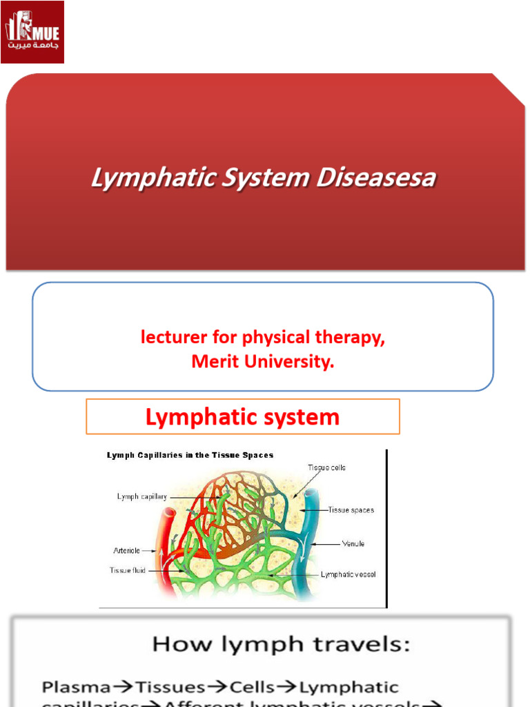 Lymphatic System Diseases | PDF | Lymphatic System | Edema