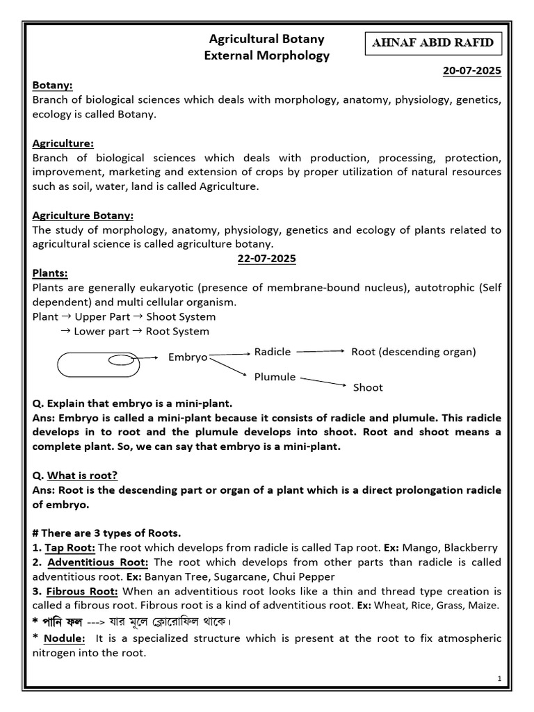 Agricultural Botany New | PDF | Leaf | Fruit