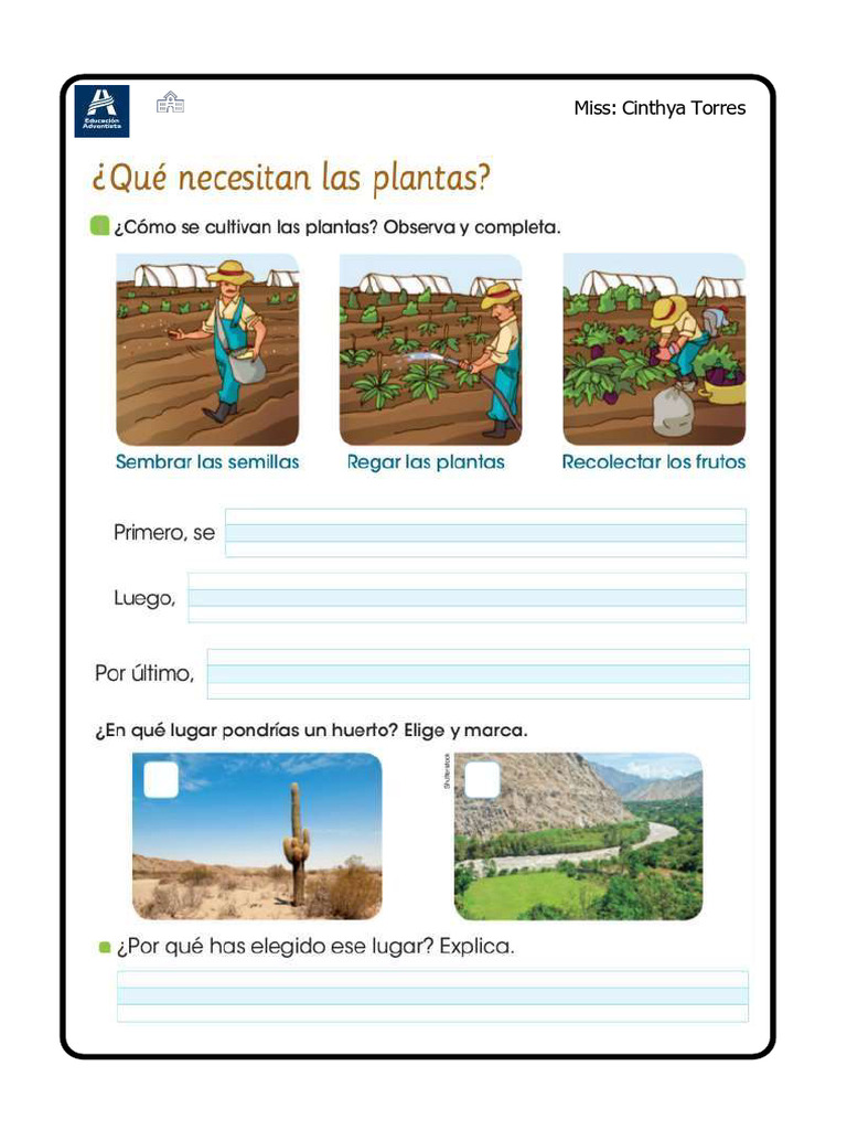 ¿Qué Necesitan Las Plantas para Vivir | PDF