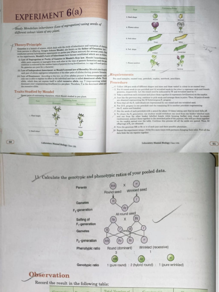 Biology Spotting | PDF