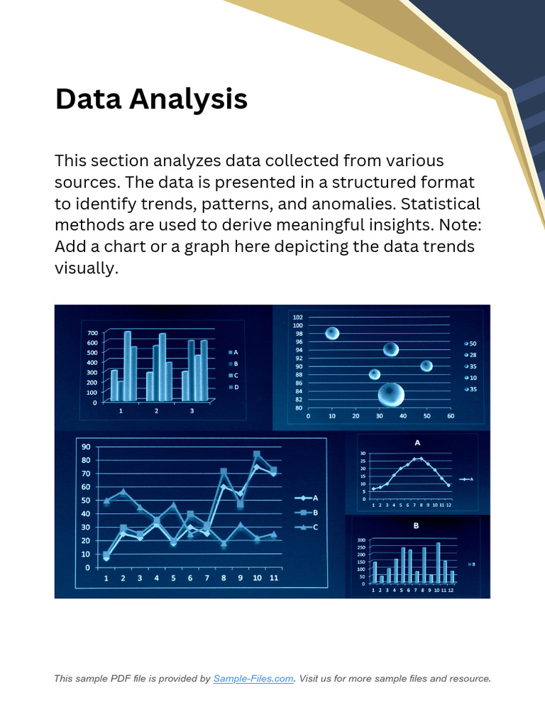 Sample Report 5 | PDF