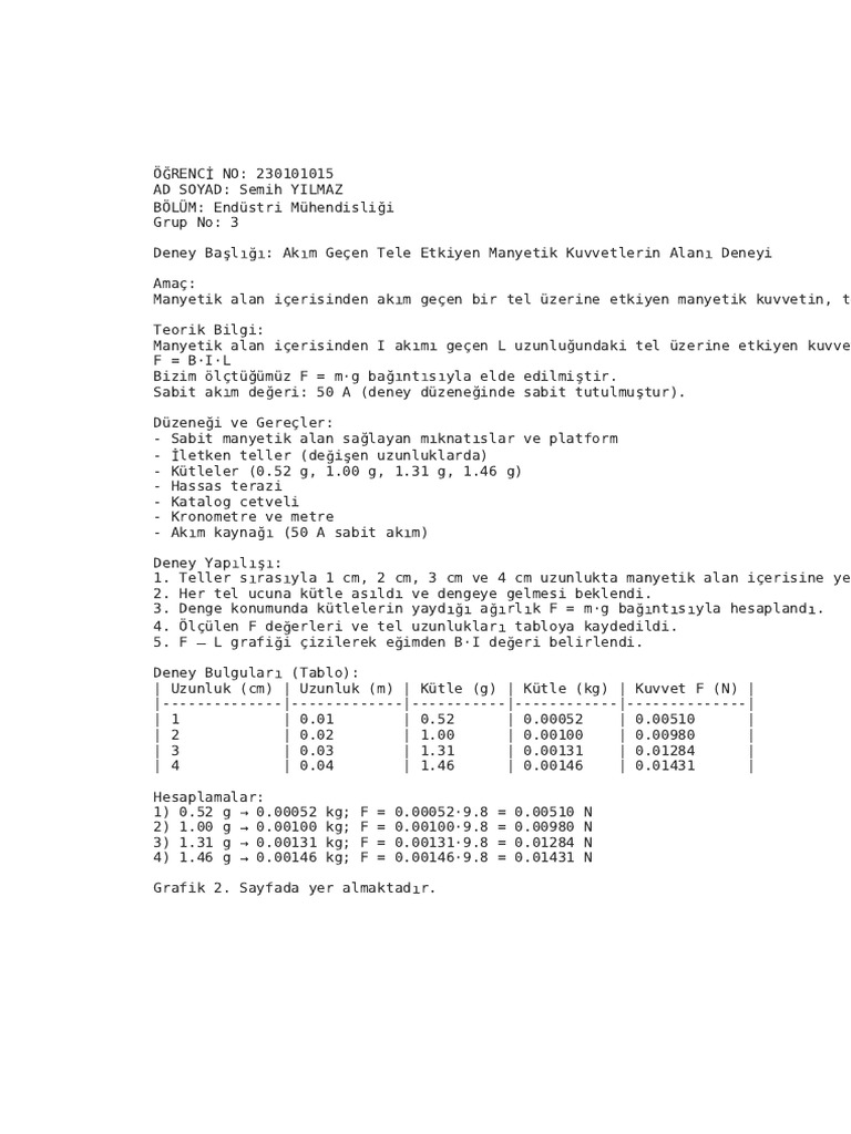 Manyetik Kuvvet Raporu | PDF