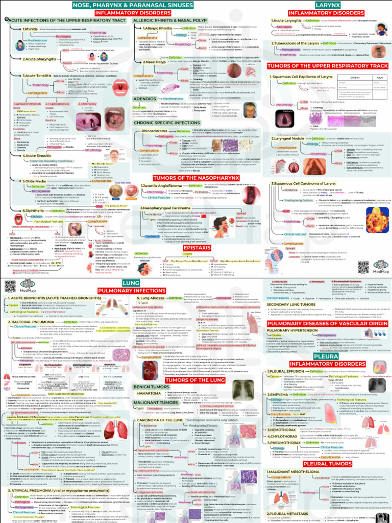 Patho Resp. - MedMap | PDF