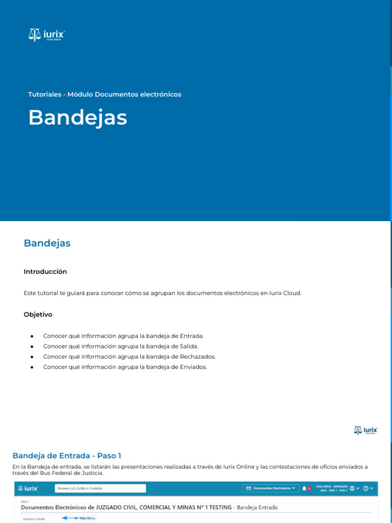 Ban Dejas | PDF