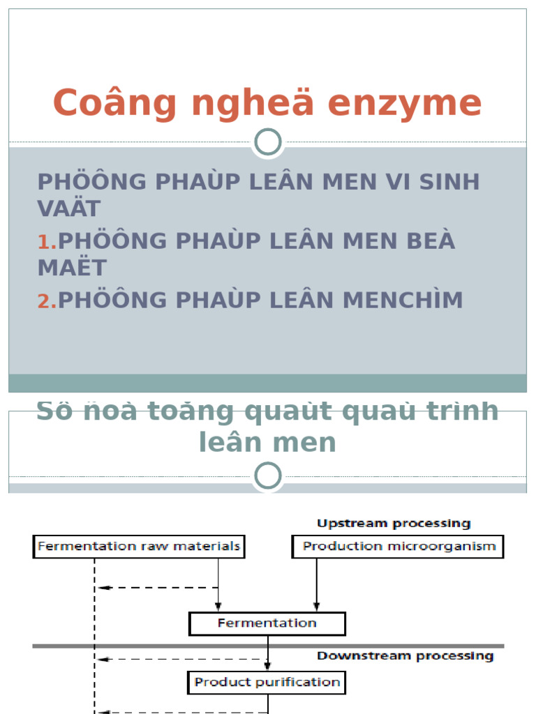 PP Lên Men VSV | PDF