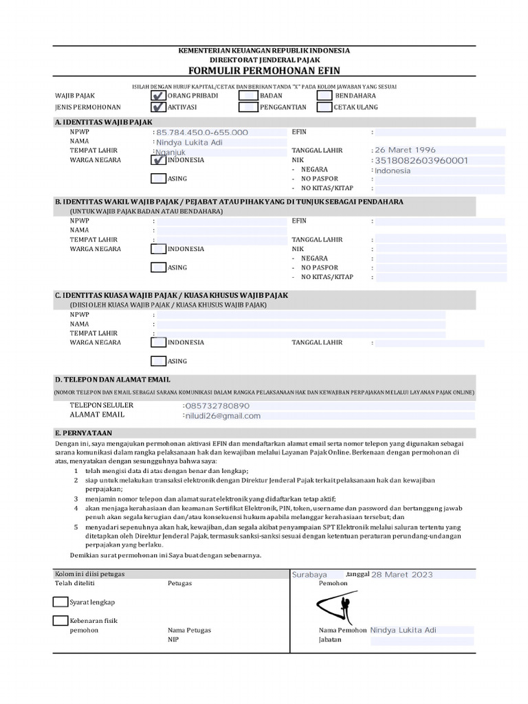Form Permohonan EFIN PDF | PDF