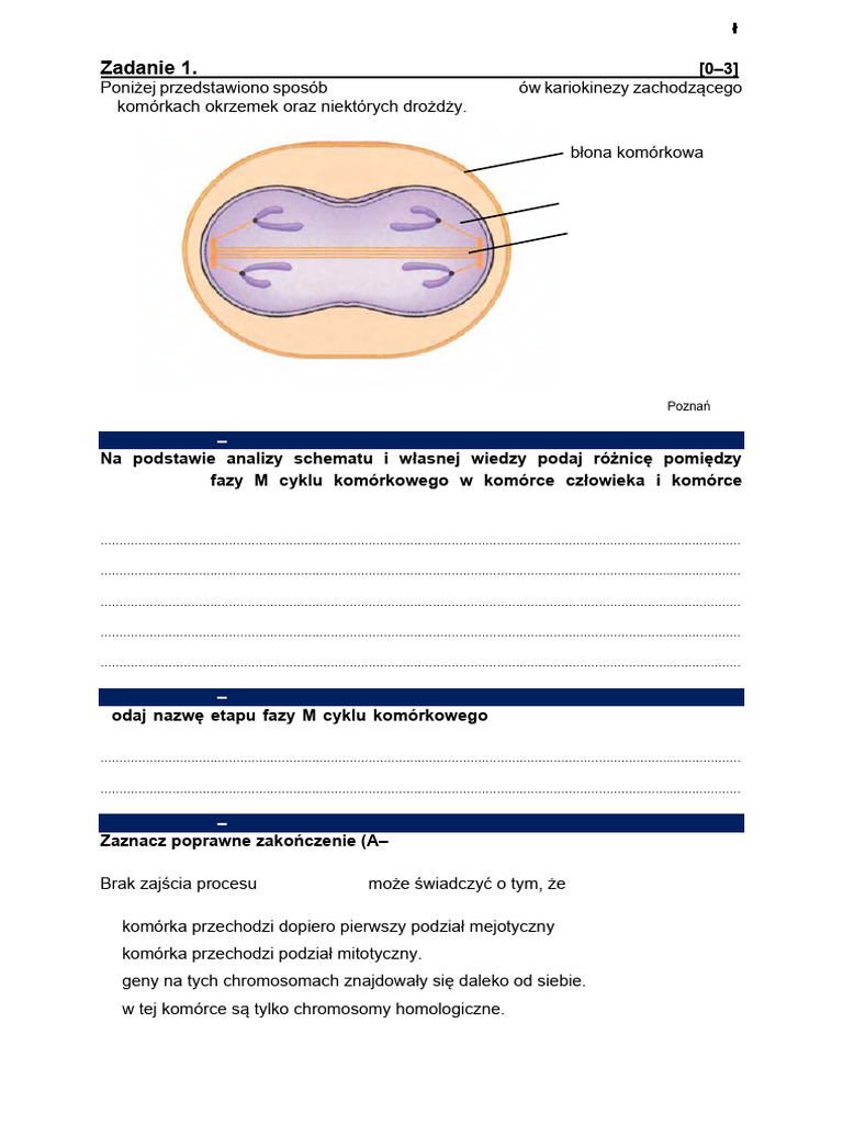 Arkusz 4A Formula 2023 | PDF