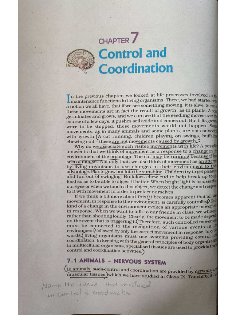Ch-7, Control and Coordination Reader Markings | PDF