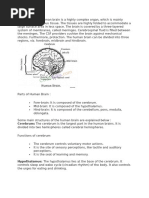 Human Brain Class10 Notes | PDF