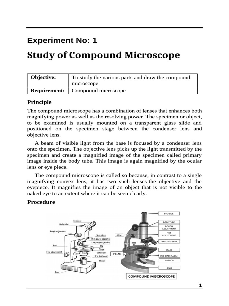 Experiment-1. Compound Microscope | PDF | Laboratory Equipment | Glass ...